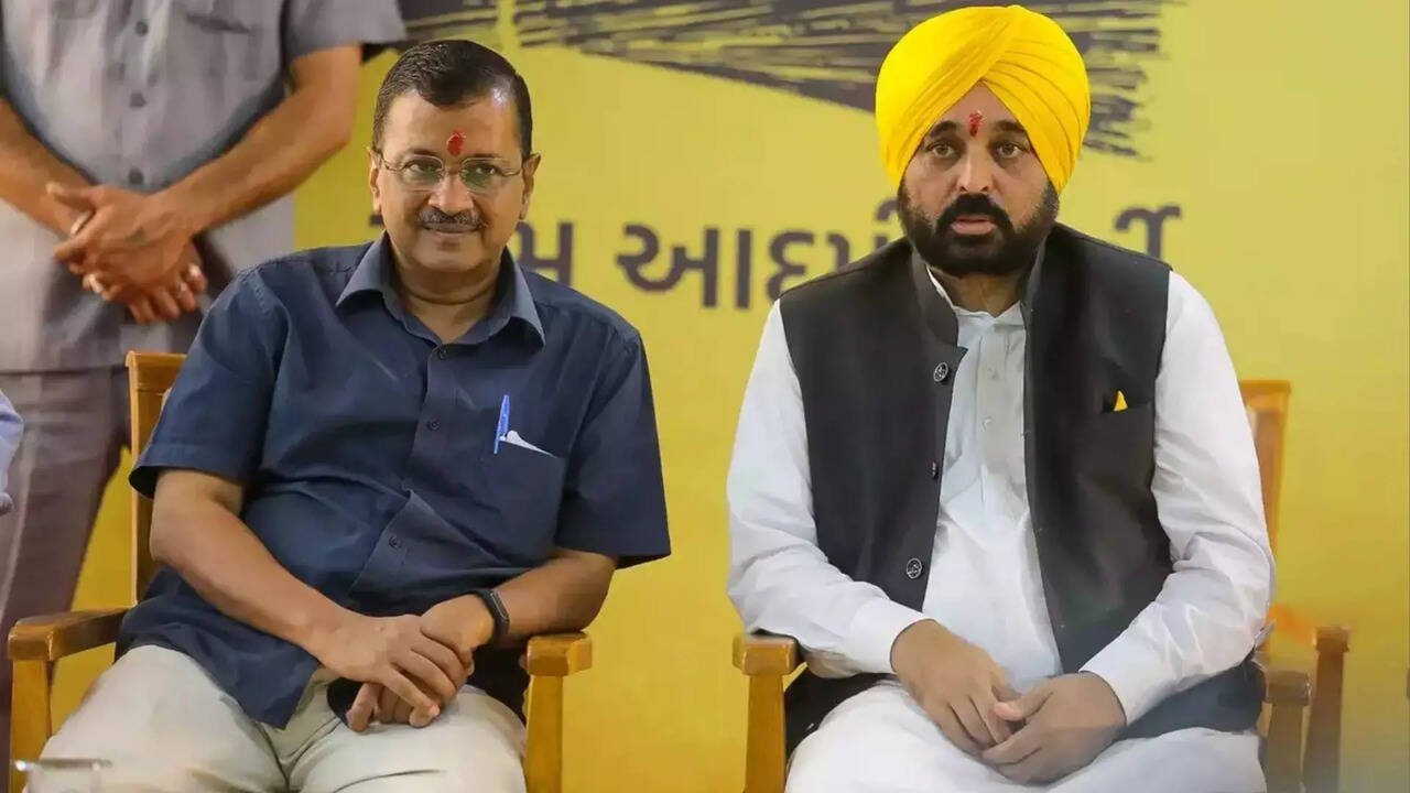 Punjab CM Bhagwant Mann meets Arvind Kejriwal in Tihar jail | அரவிந்த் கெஜ்ரிவாலை தீவிரவாதியை ...