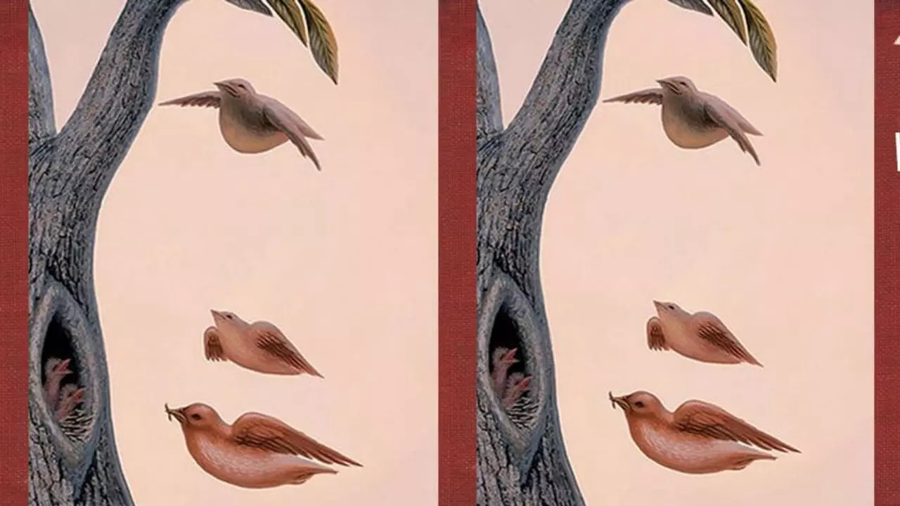 Optical Illusion Personality Test: What You See First Can Reveal What ...