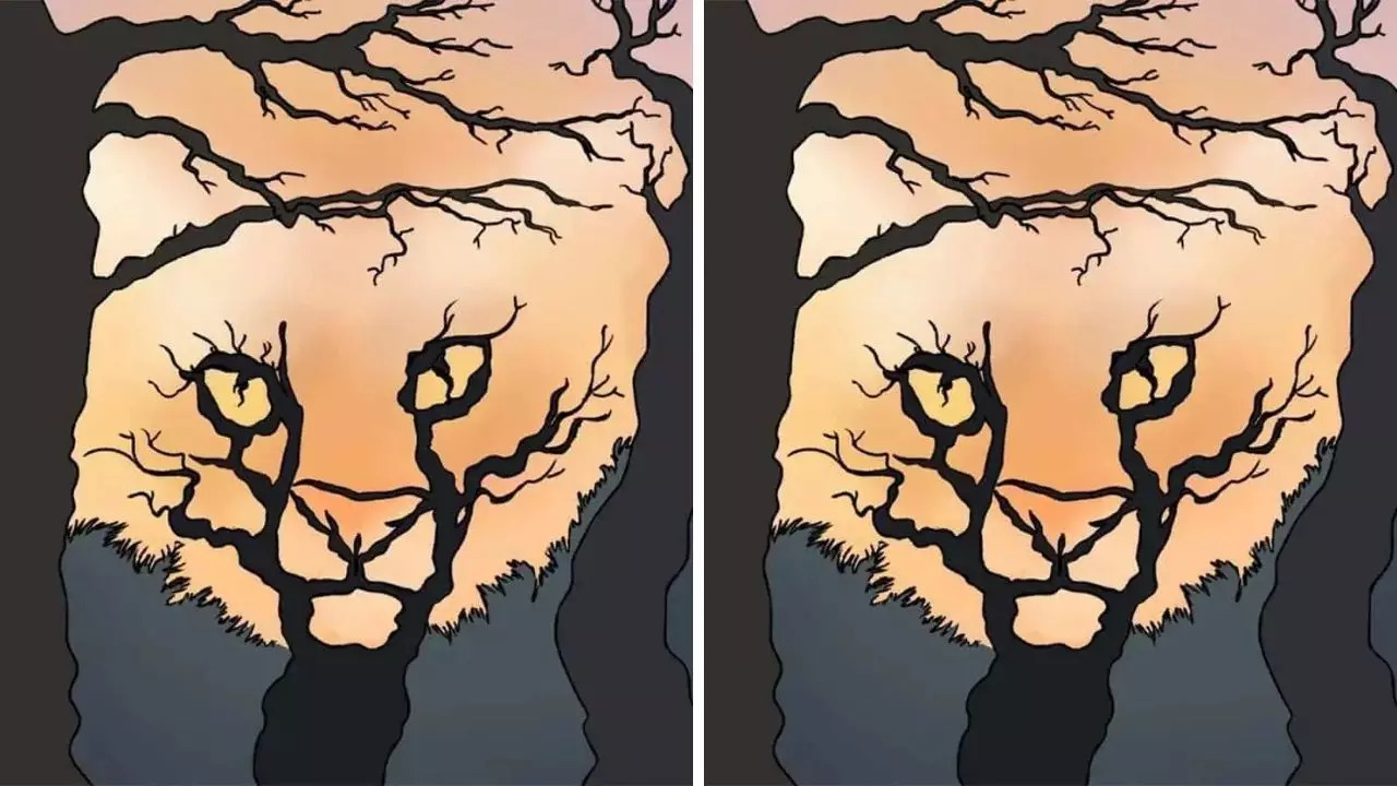 Optical Illusion Personality Test: What You See First Can Reveal Your ...