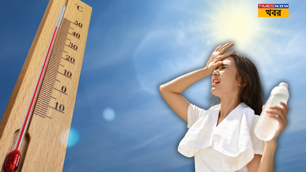 Weather Update: তাপ প্রবাহে পুড়ছে বাংলা! বৃষ্টি কবে হবে? বড় আপডেট দিচ্ছে হাওয়া অফিস | কলকাতা ...