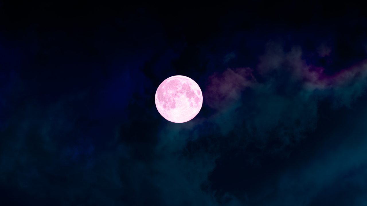 Pink Full Moon Meets Lyrid Meteor Shower Today: When And How To Watch ...