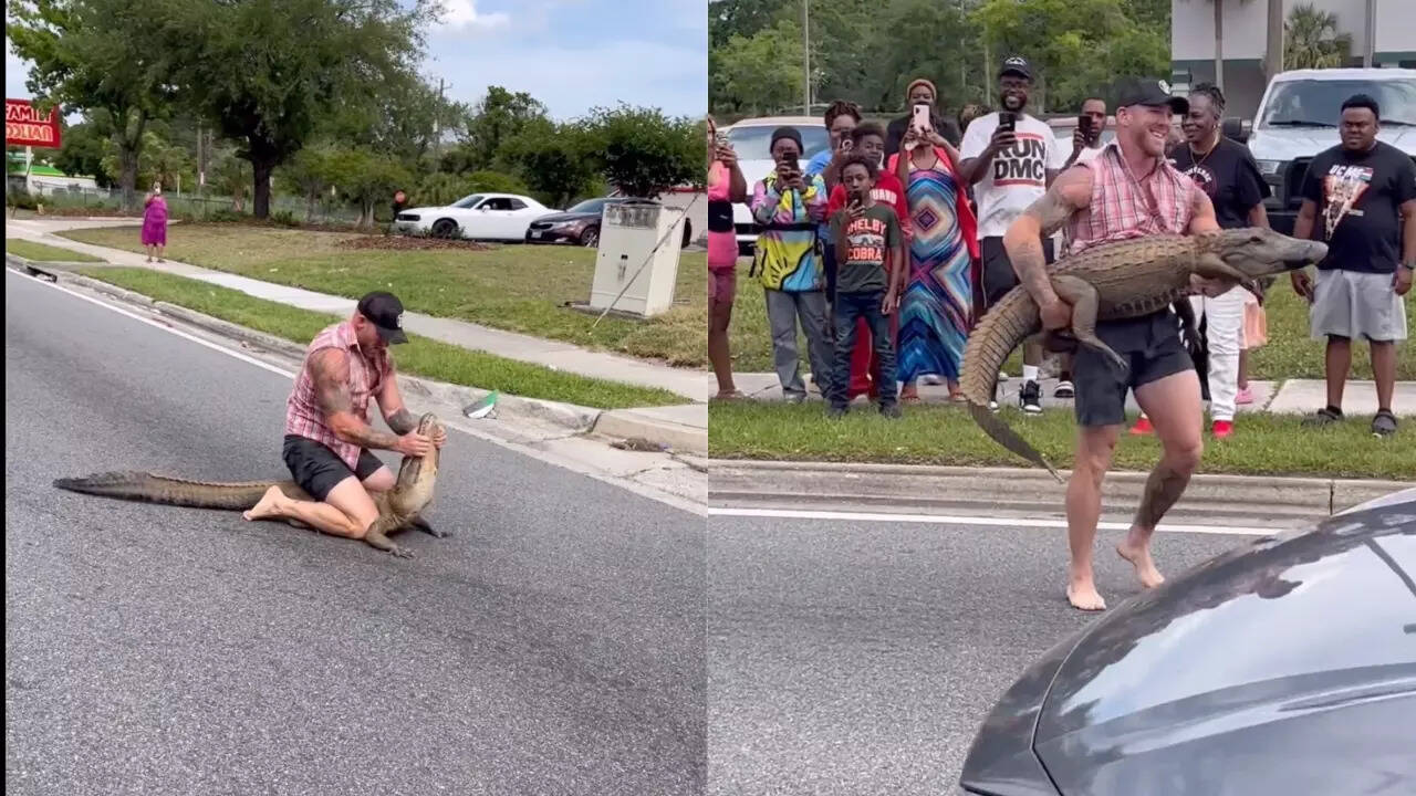 Florida Man vs Alligator: MMA Fighter Wrangles 8-Foot Reptile With Bare ...