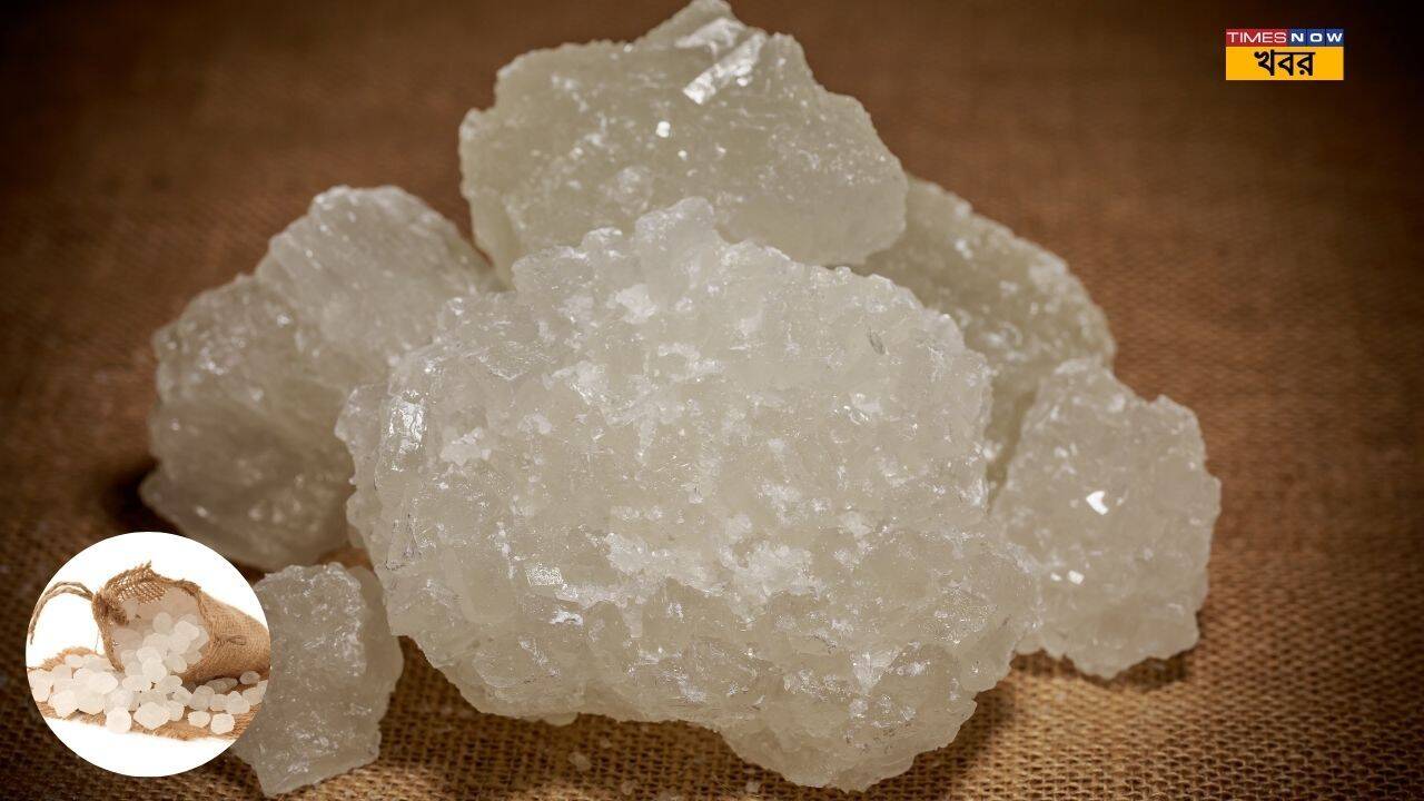 Eat Mishri in Summer: চিনির বদলে আর সুগার ফ্রি খাওয়ার ভুল করবেন না; এই ...