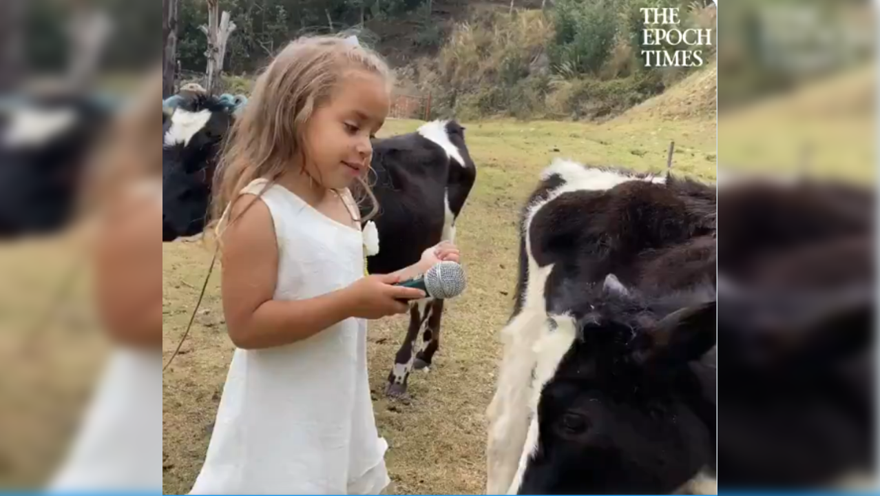 Viral Video: Little Girl Mimics Cow, Gets Adorable Response | Times Now
