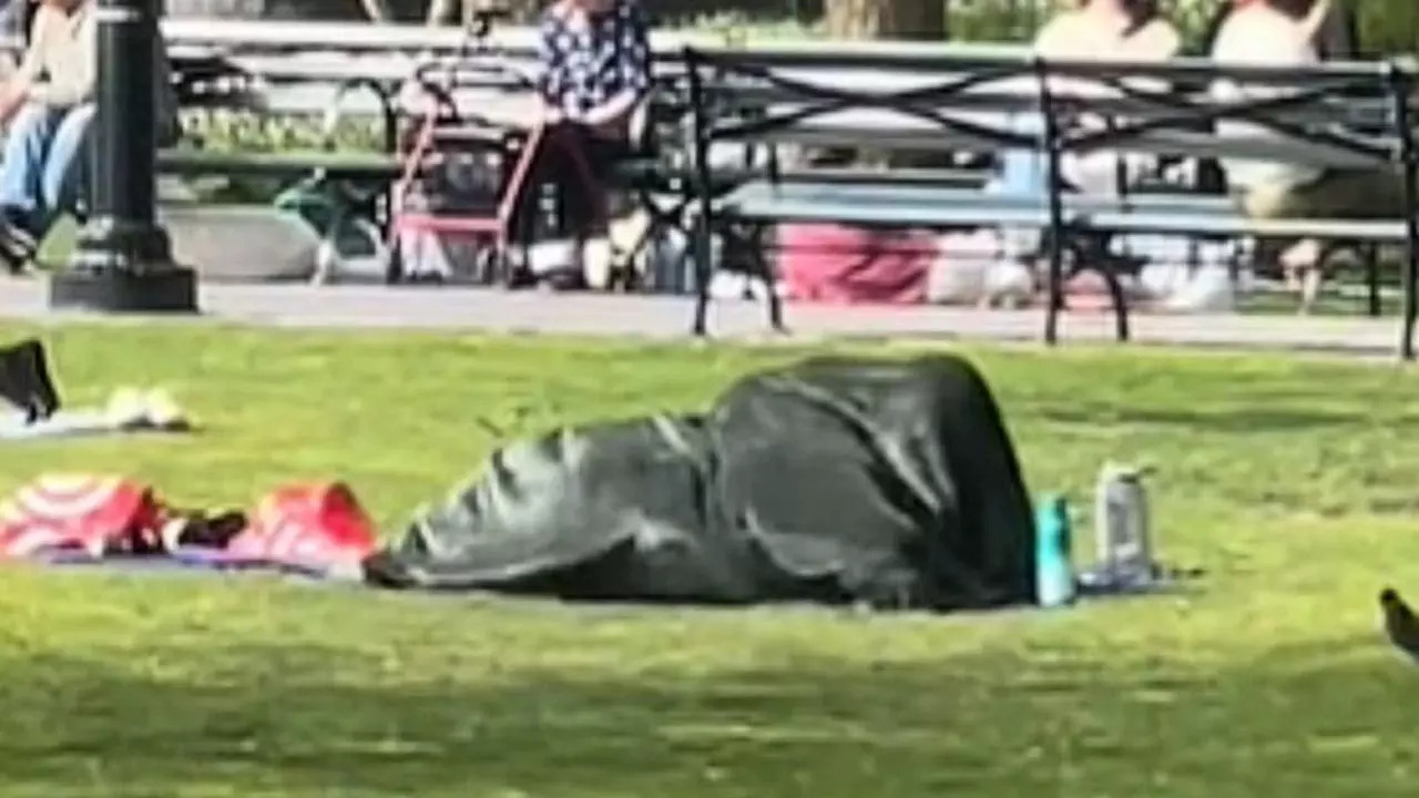 Video Of 'Love-Making Couple' Under Blanket In NYC Park Sparks Outrage ...