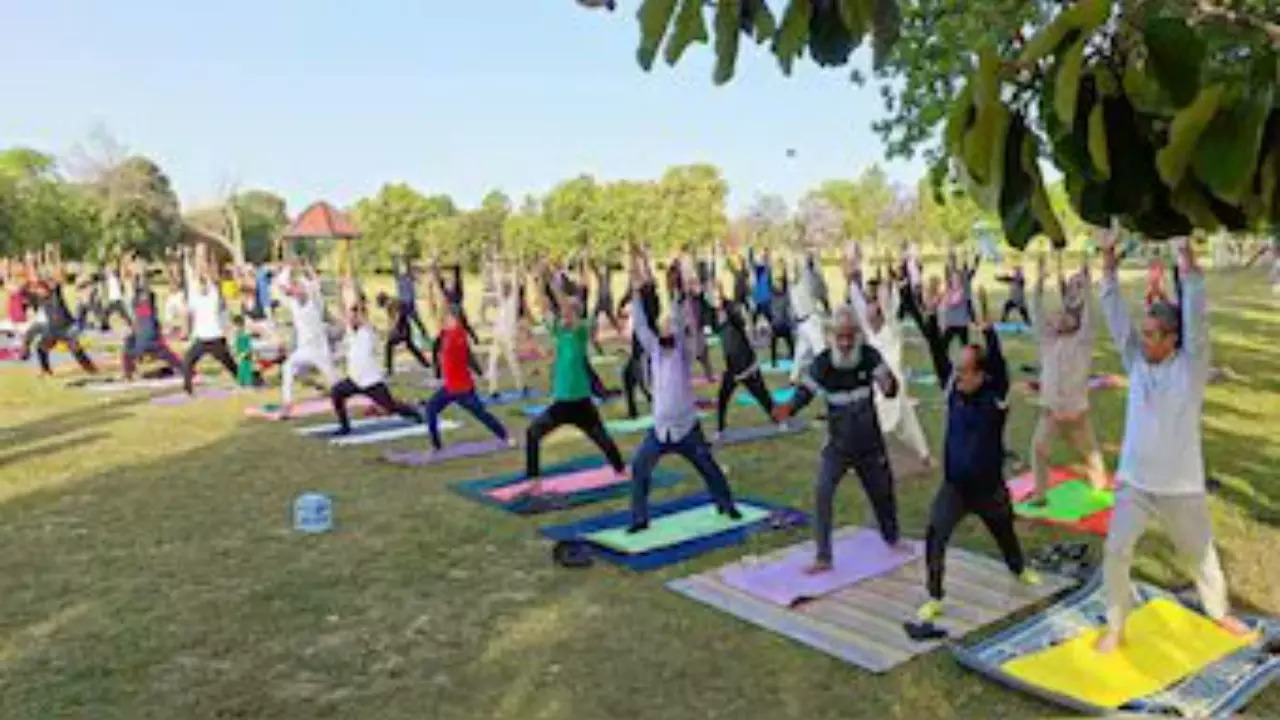 10 Years After Big UN Recognition, Yoga Officially Makes Debut In ...