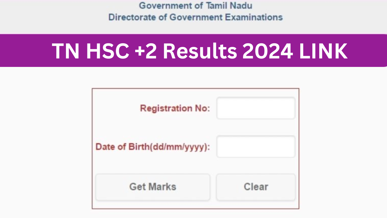 www.tnresults.nic.in 2024 Result: TN Board 12th Results Declared, Check HSE 2 Results on dge.tn ...