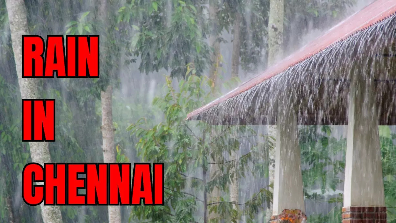 Chennai Rains Today: Check IMD Weekly Weather Forecast | Times Now