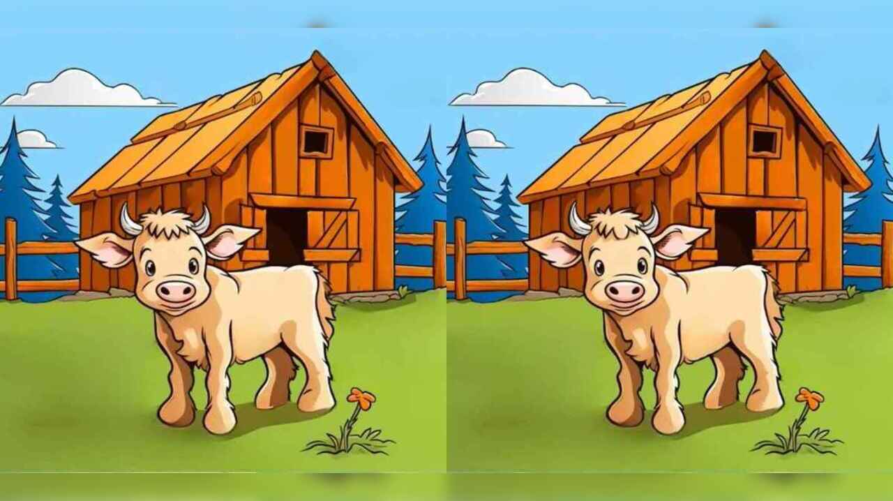 Puzzle: Can You Spot 3 Differences Between Images of Cow On a Farm in ...