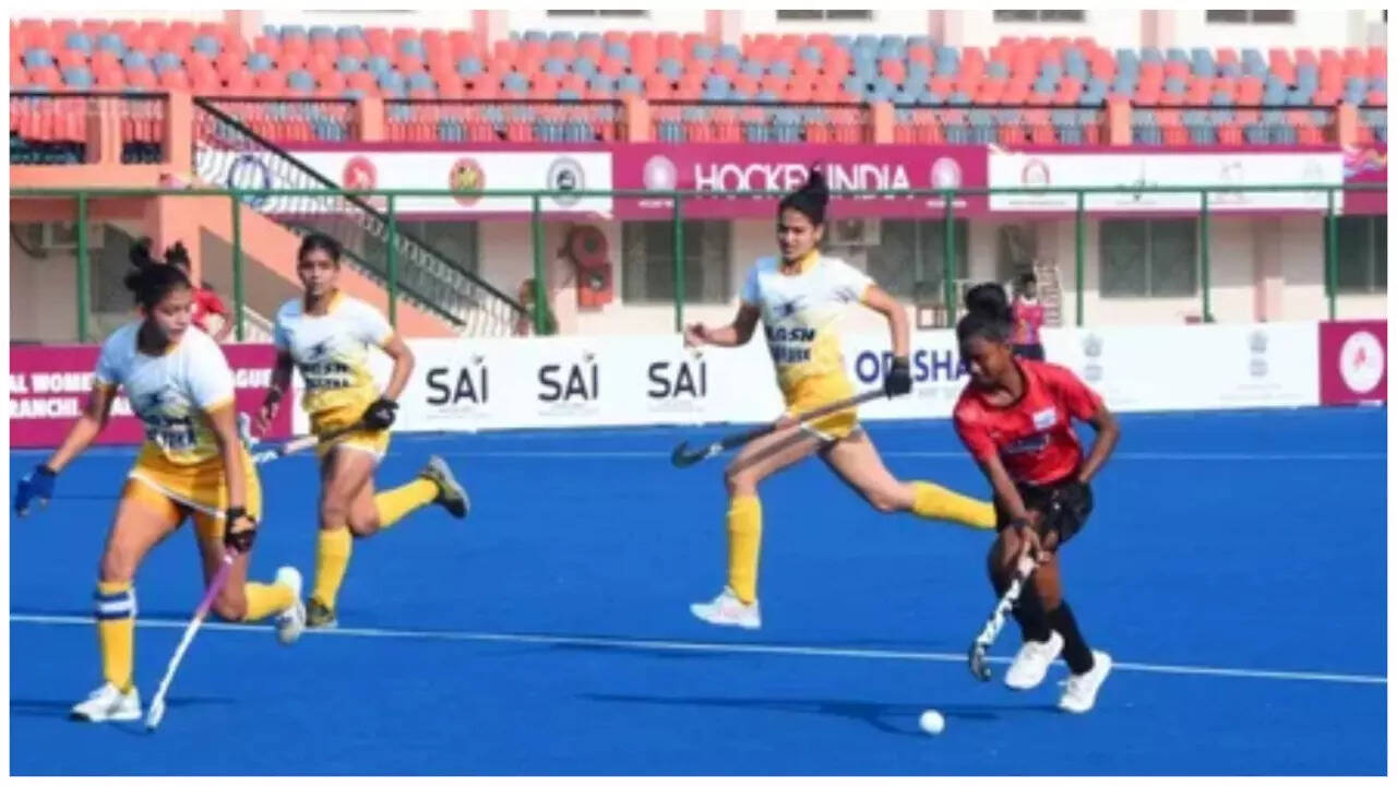 National Women's Hockey League Will Give The Girls A Chance To Prove ...