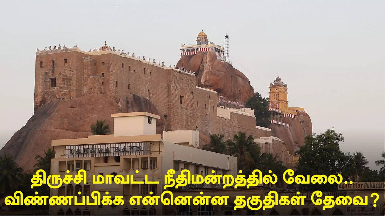 திருச்சி மாவட்ட நீதிமன்றத்தில் வேலை.. விண்ணப்பிக்க என்னென்ன தகுதிகள் ...