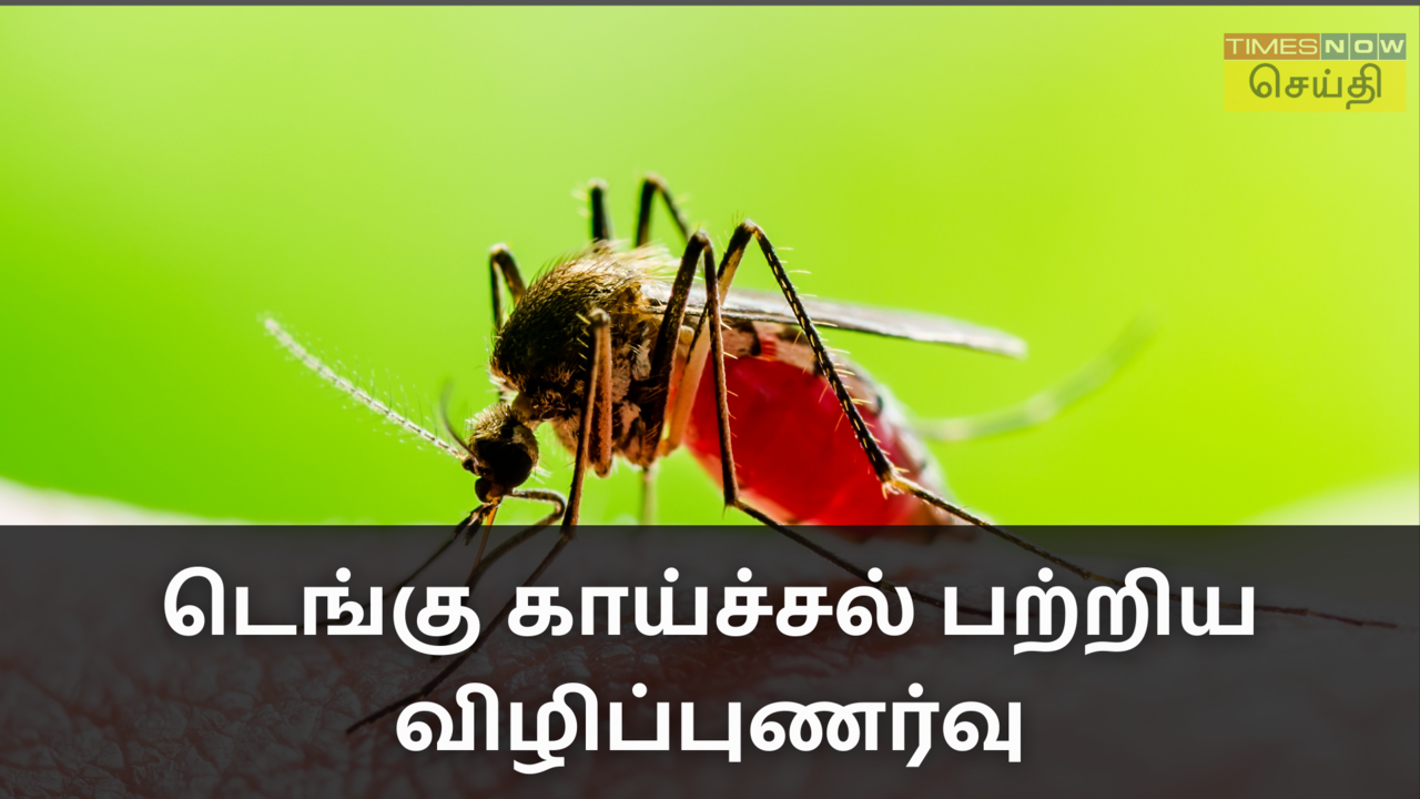 National Dengu Day 2024: டெங்கு காய்ச்சல் பற்றி விழிப்புணர்வு ...
