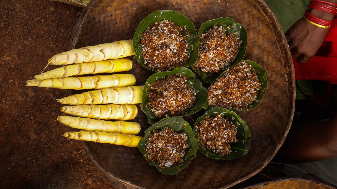 Entomophagy: Insects On Your Plate! A Taste Of India's Indigenous ...