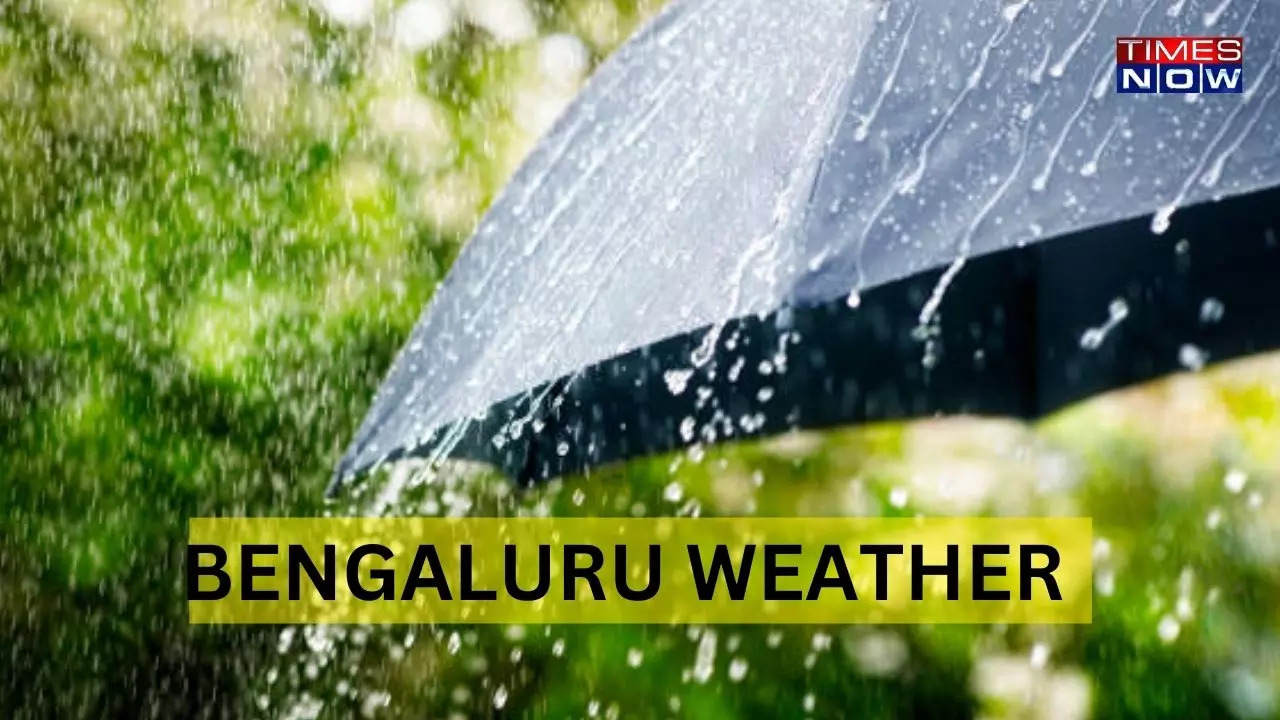 'Bangalore Weather Is Back': Netizen Reacts After City Witnesses ...