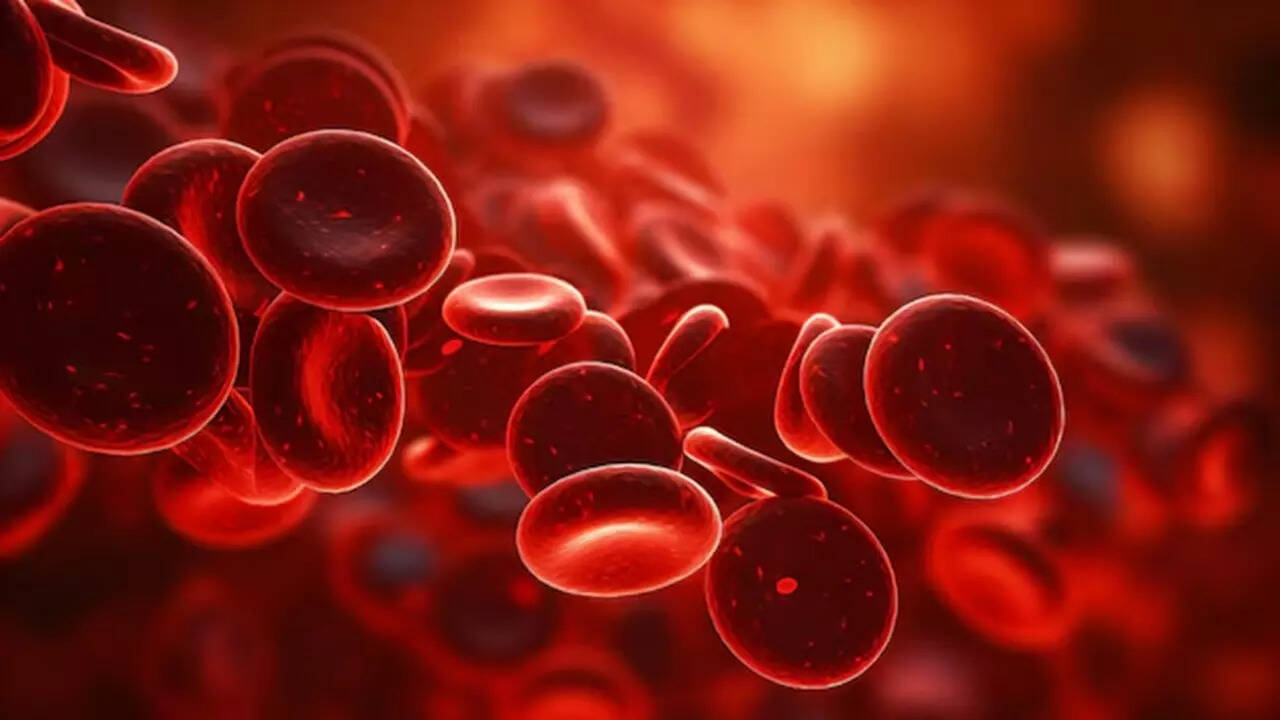 why blood color is red know the biological reason behind it latest ...
