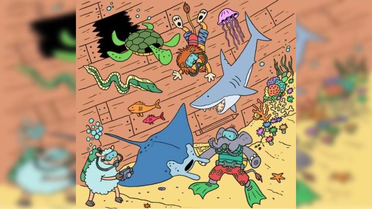 Optical Illusion Puzzle: Only Highly Intelligent People Can Find The ...