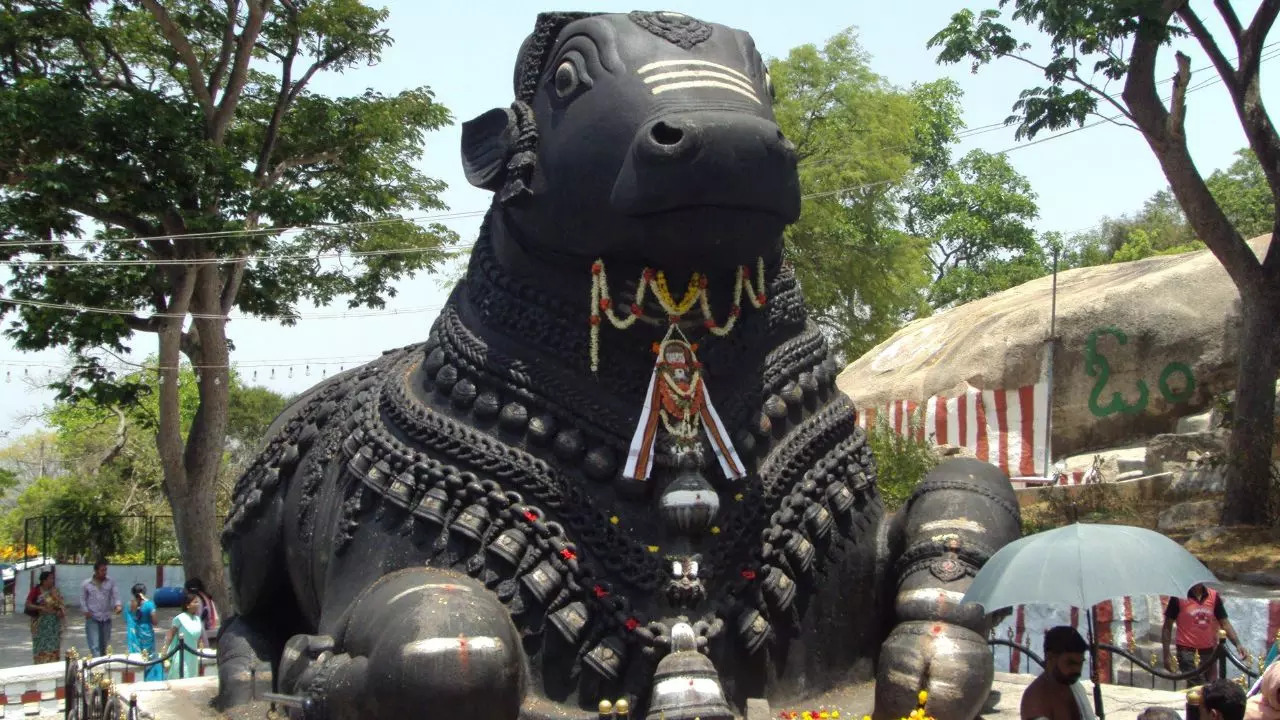 The Symbolism Of Nandi, Lord Shiva's Beloved Vahana | Times Now