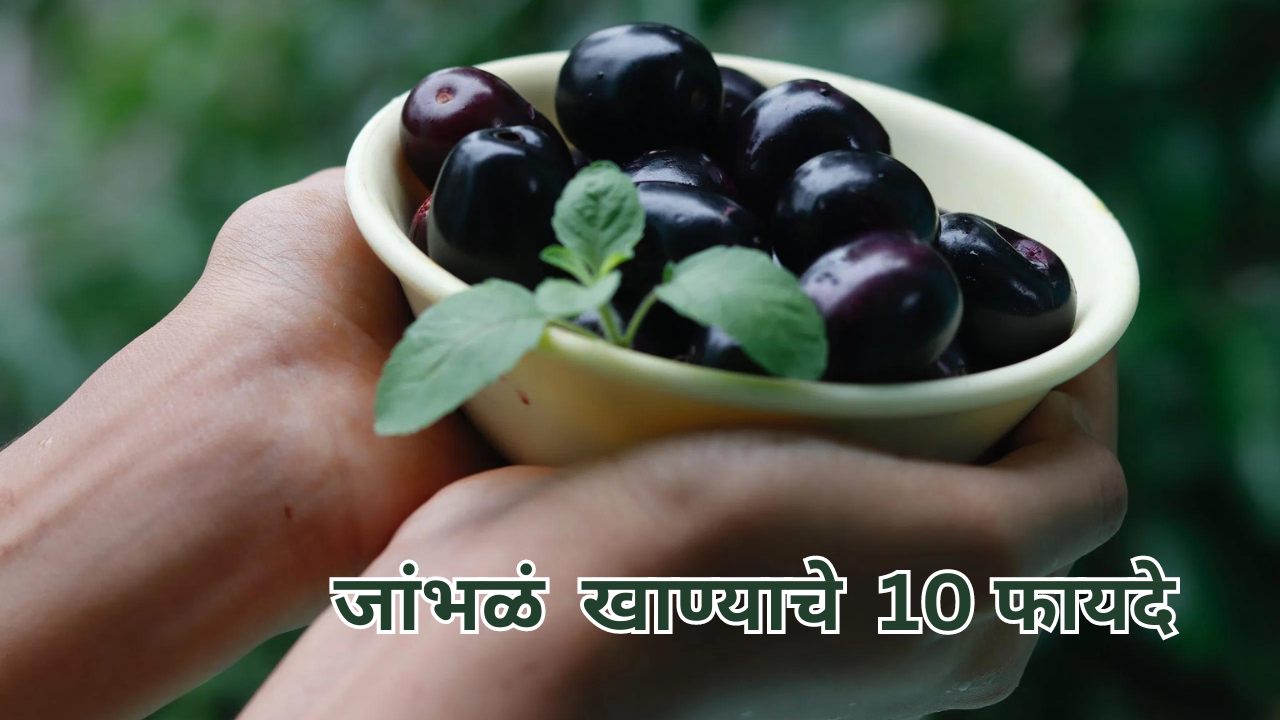 Jamun Benefits: उन्हाळ्यात जांभळं खाण्याचे 10 फायदे, पाने आणि सालही खूप ...