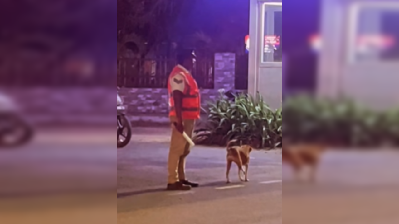Heartwarming Video: Traffic Cop Manages Busy Street with Playful Dog ...