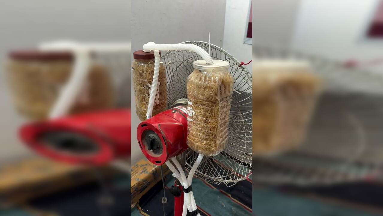 Viral Video: Man's Ingenious Jugaad To Beat The Heat Turns Pedestal Fan ...