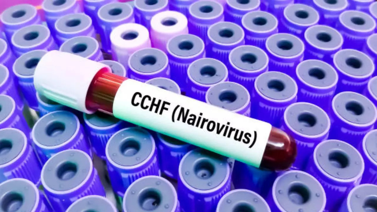 What Is Congo Fever Pakistan has Reported? Know Signs And Symptoms Of The Highly-Fatal Viral ...