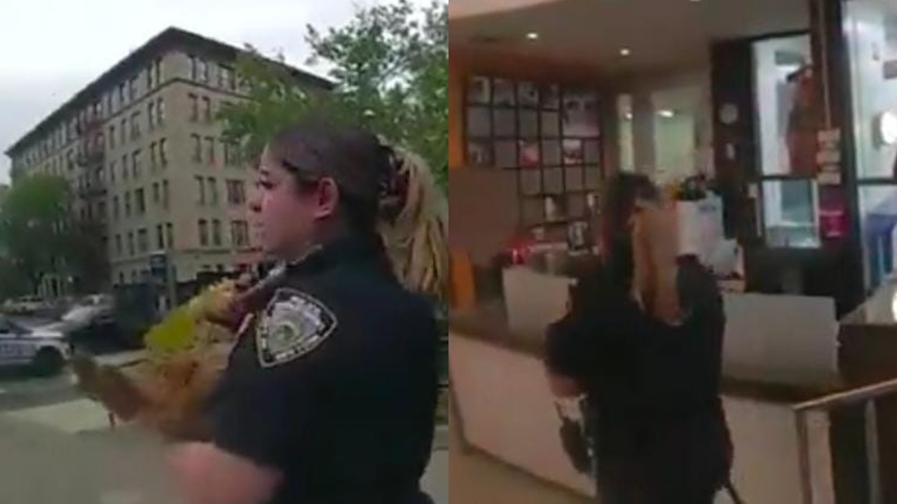 Tearful NYPD Officer Saves Dog Thrown Off Ledge By Owner| Video | Times Now