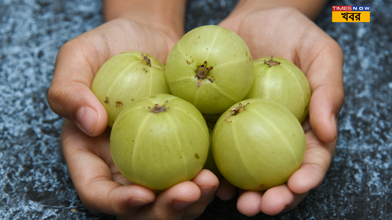 Amla Side Effects: খুব সাবধান! এরা ভুল করেও আমলকি মুখে দেবেন না ...