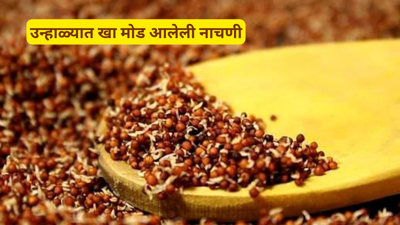 Sprouted Ragi Benefits: उन्हाळ्यात मोड आलेली नाचणी खाल्ल्याने होतात हे ...
