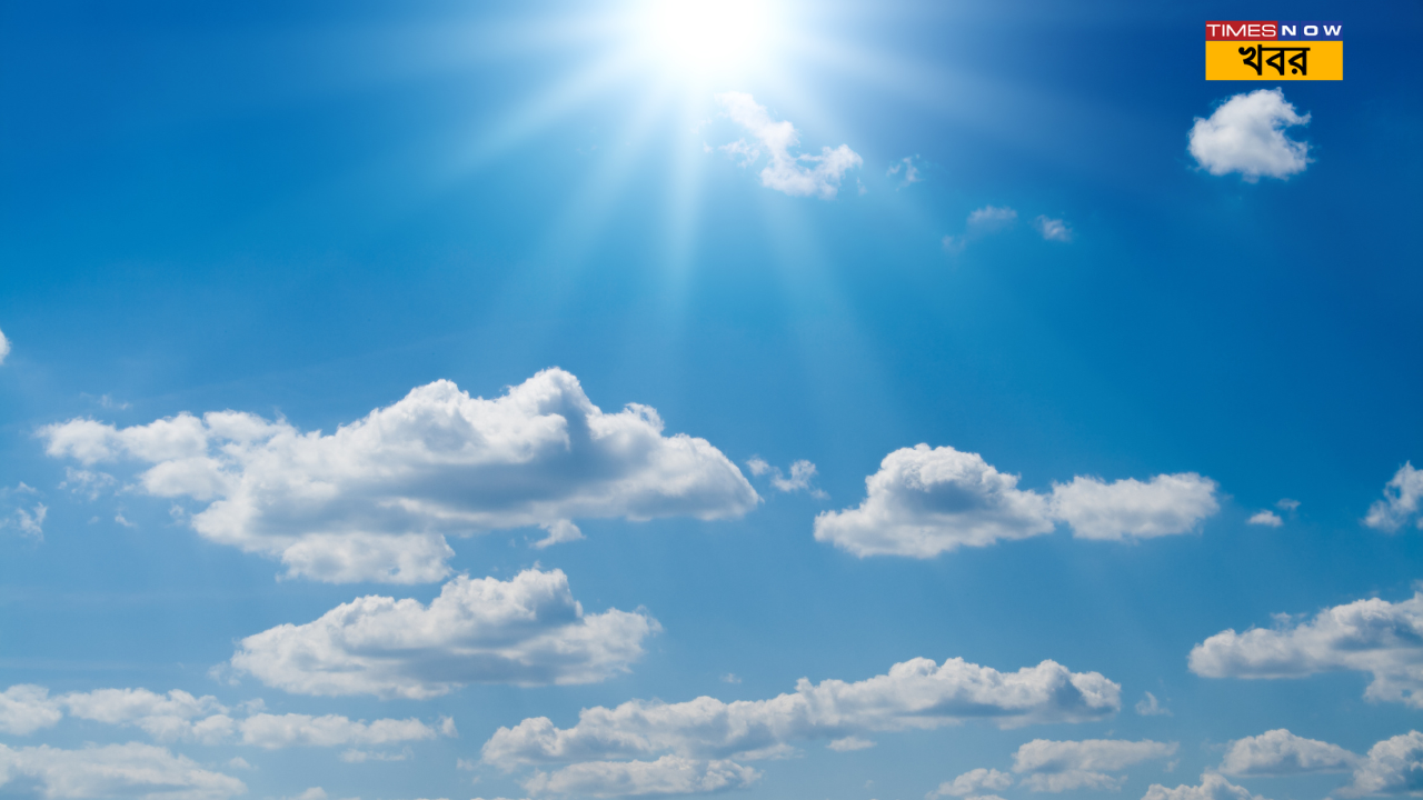 Weather Update: সকাল থেকে চড়া রোদ, দক্ষিণবঙ্গে বাড়ছে গরম! কবে থেকে ...