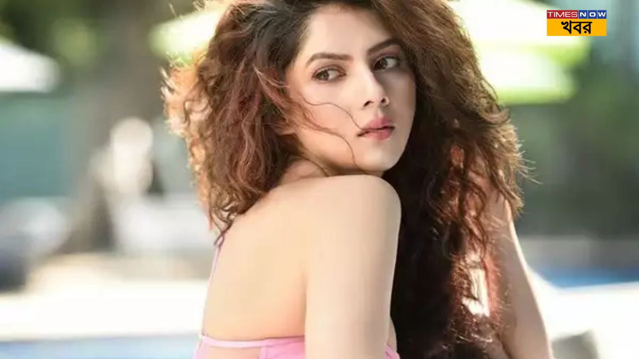 Payel Sarkar: হবু বরের সঙ্গে দেখা করতে আমেরিকা গেলেন পায়েল! ভোটের পরেই বিয়ের পিঁড়িতে নায়িকা ...