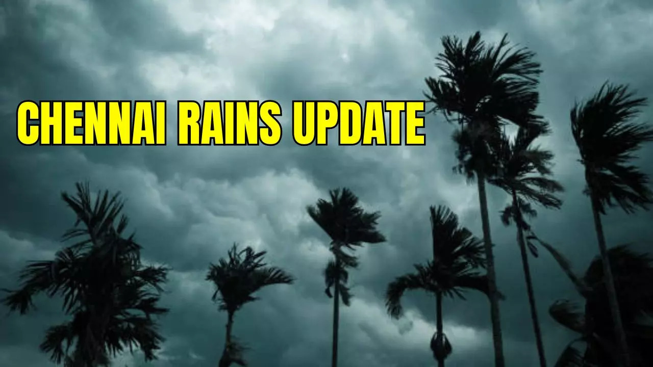 Chennai Rains Cool Down Heat: Will City Continue to Enjoy This Respite ...