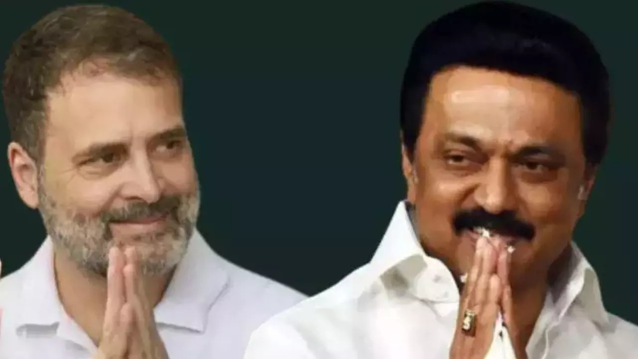 Tamil Nadu Winners List: BJP Fails To Open Account, DMK Leads On All 39 Seats | Times Now