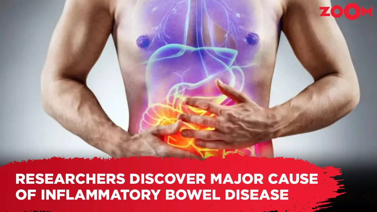 Researchers discover major cause of inflammatory bowel disease or IBD ...