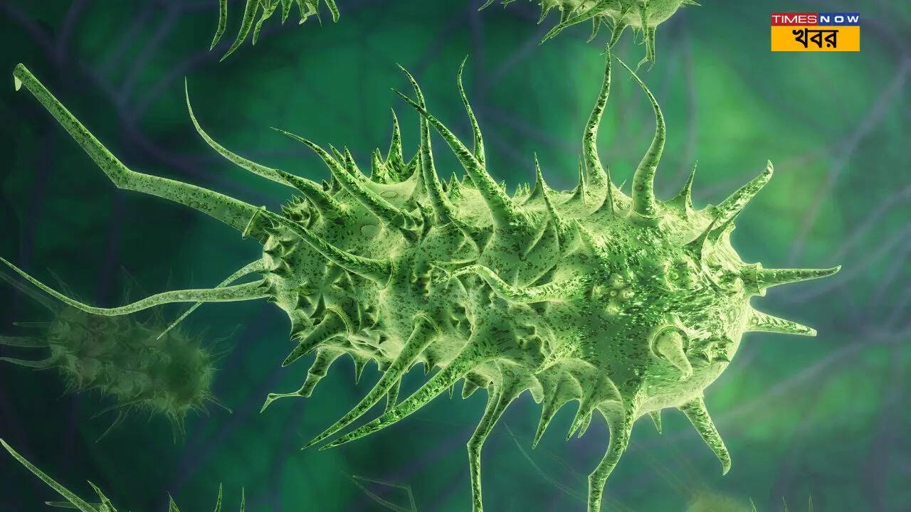 Japan Bacteria: ভয়ানক হারে ছড়াচ্ছে নয়া 'মাংসখেকো ব্যাকটেরিয়া ...