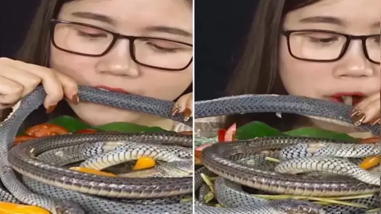 Viral Video: मक्याचे कणीसाप्रमाणे तिने चक्क सापवर मारला ताव, व्हायरल ...