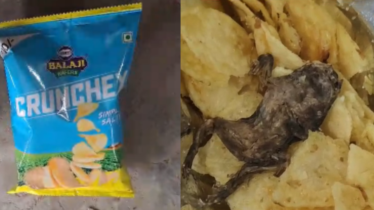 Gujarat Shocker! Dead Frog Found Inside Balaji Wafers Packet In ...