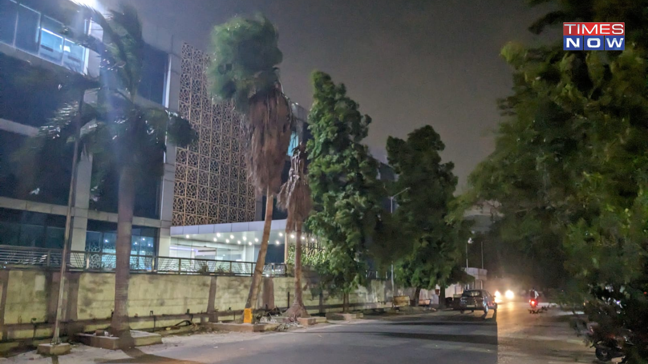 Delhi Weather: Gusty Winds Bring Slight Respite From Heatwave | Times Now