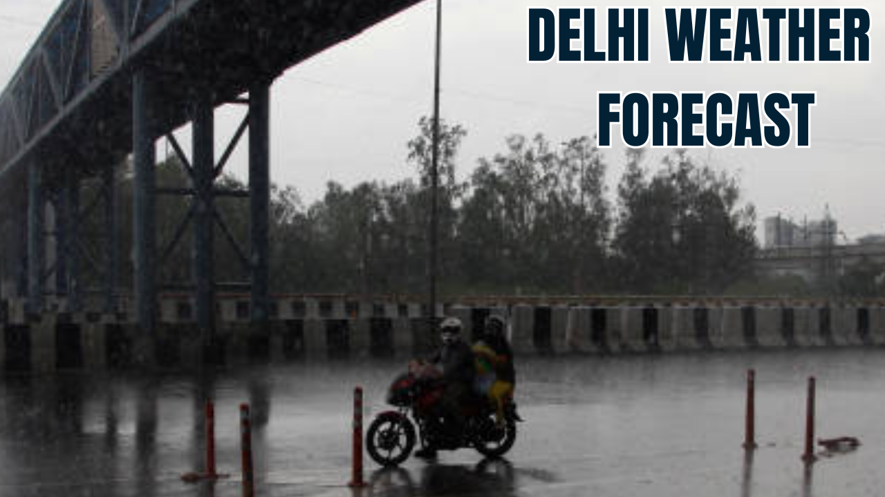 Delhiites To Witness Another Rainy Day As IMD Predicts Light Showers ...