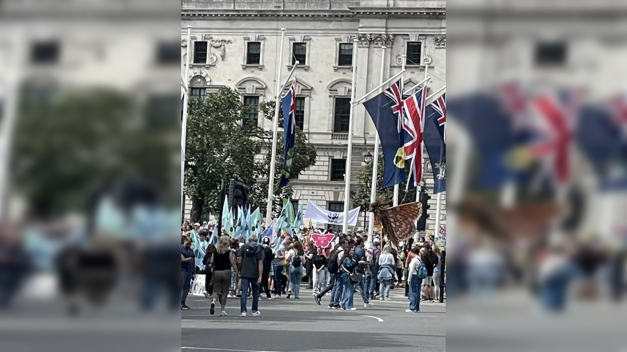 Restore Nature Now: When Thousands In London Marched For Wildlife ...