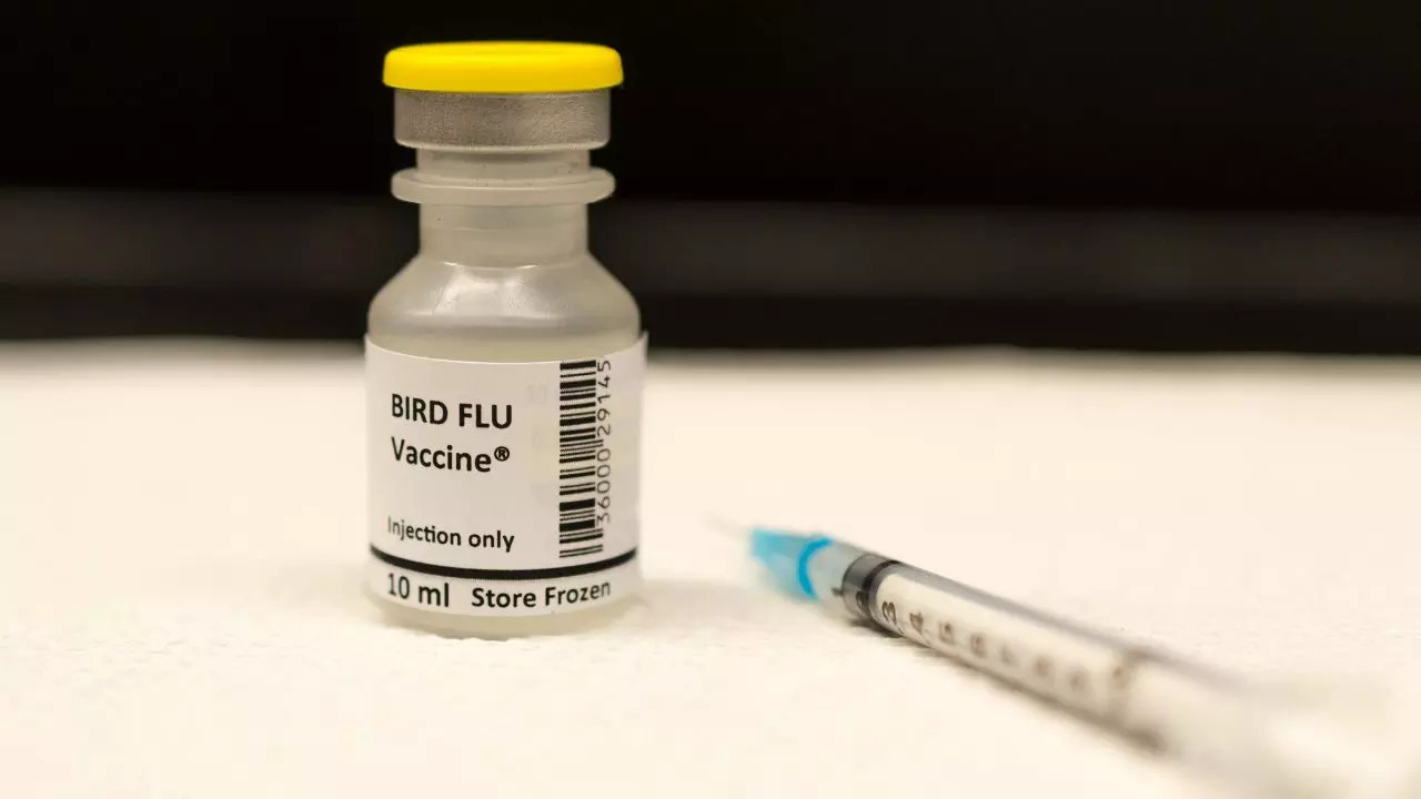Bird Flu Vaccine: Finland To Give H5N1 Vaccine To People Who Have High ...