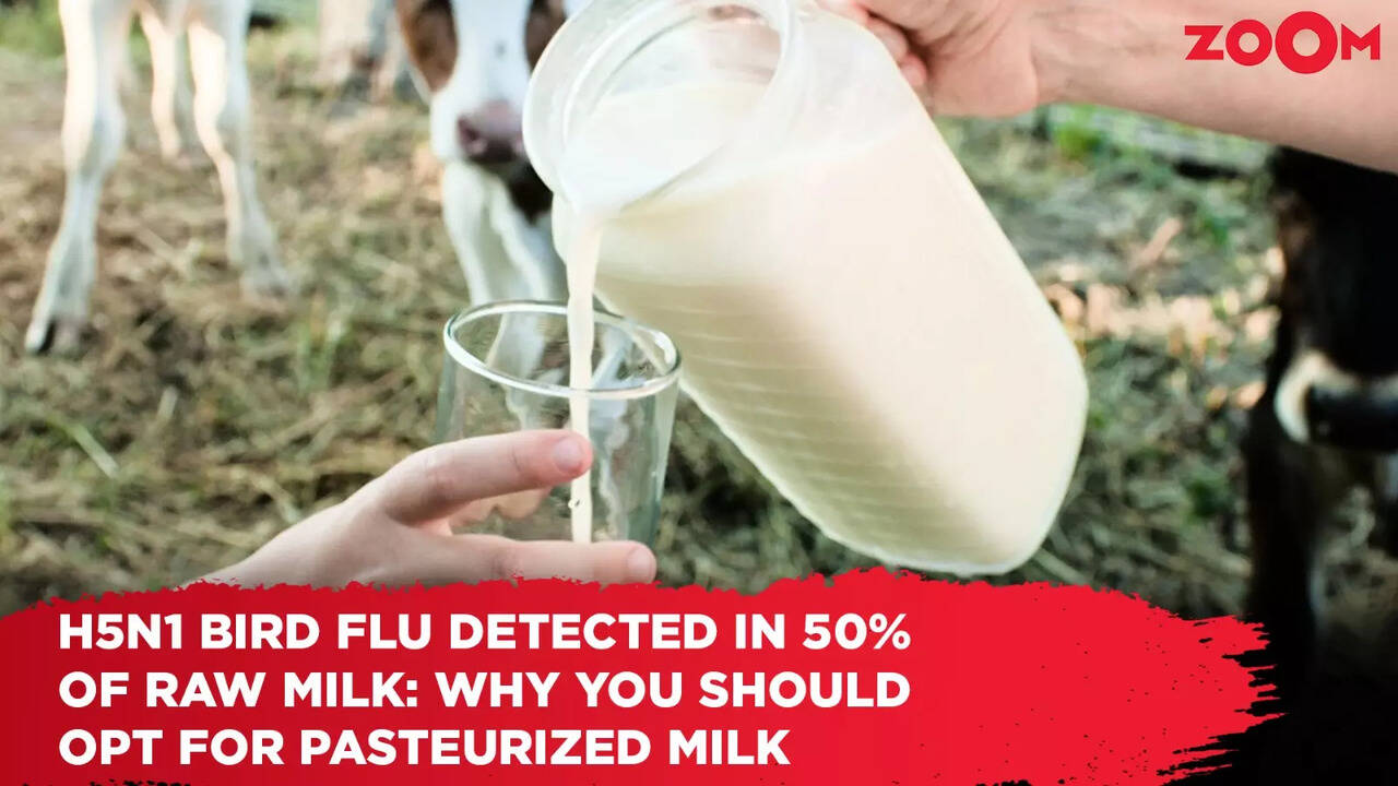 H5N1 bird flu detected in 50% of raw milk: Why you should opt for ...
