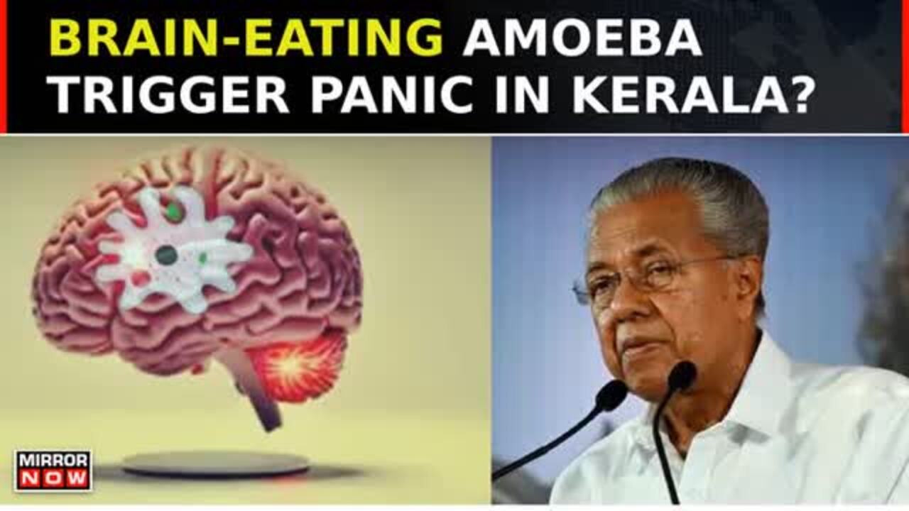 Brain-Eating Killer Amoeba Haunts Kerala, 'Naegleria Fowleri' Triggers ...