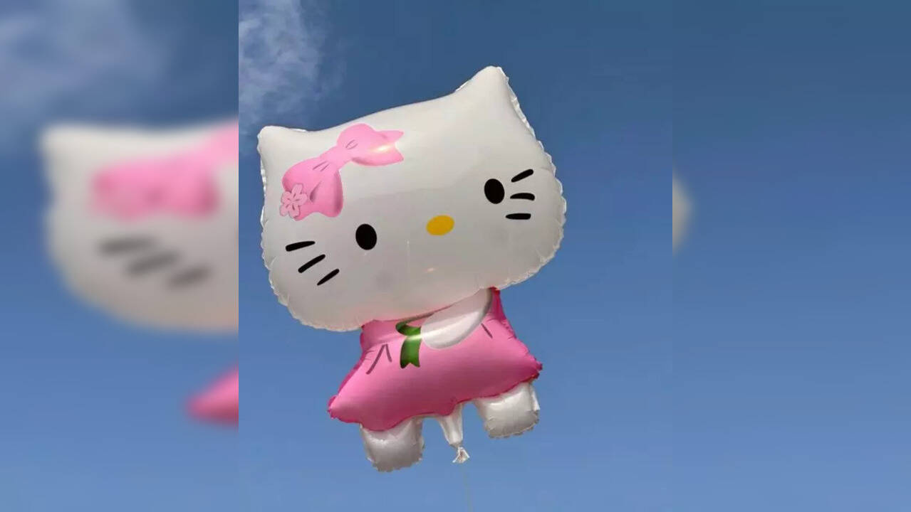 Hello Kitty Is NOT A Cat. Creators Say She Is A.... | Times Now
