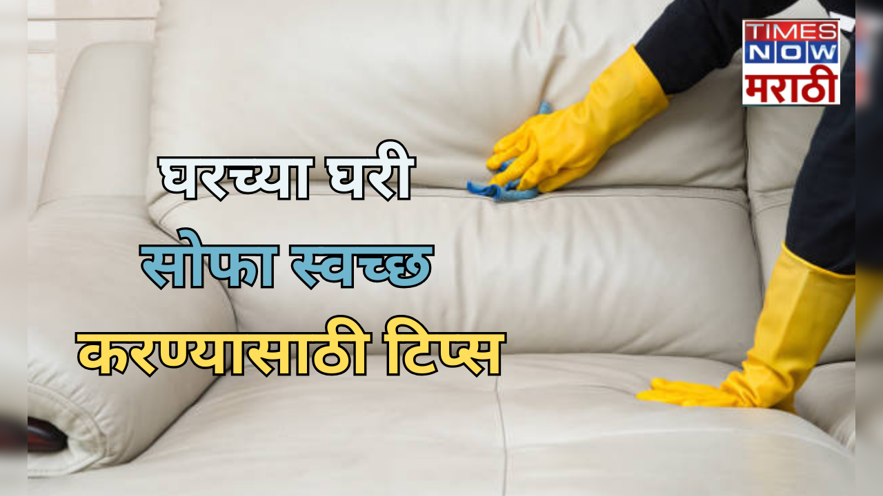 Sofa Cleaning DIY Tips: जुना सोफा अगदी नव्यासारखा चमकेल, घरातच सोप्या ...