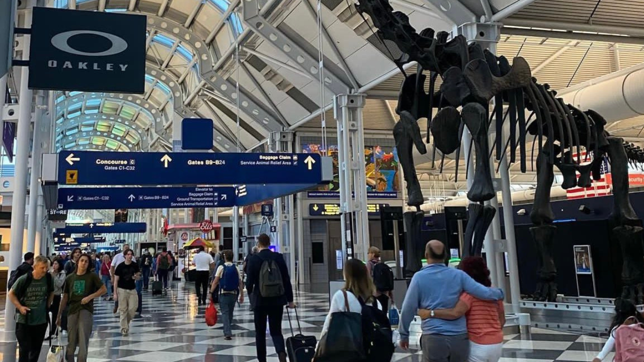 Woman Dies After Getting 'Entangled' In Baggage Carousel at O'Hare ...