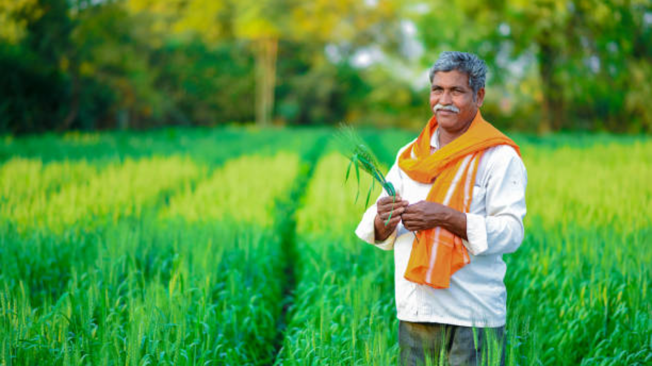 Farmers Friends:రైతు మిత్రుల గురించి తెలుసా? చిన్న ప్రాణులే గానీ ...
