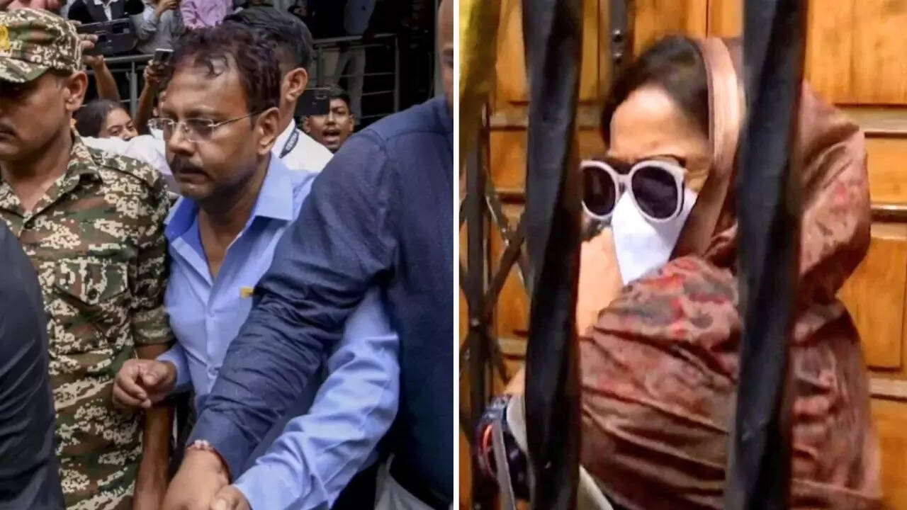 Sandip Ghosh Innocent: 'ও কিচ্ছু করেনি... ভিলেন বানিয়ে দেবেন না ...