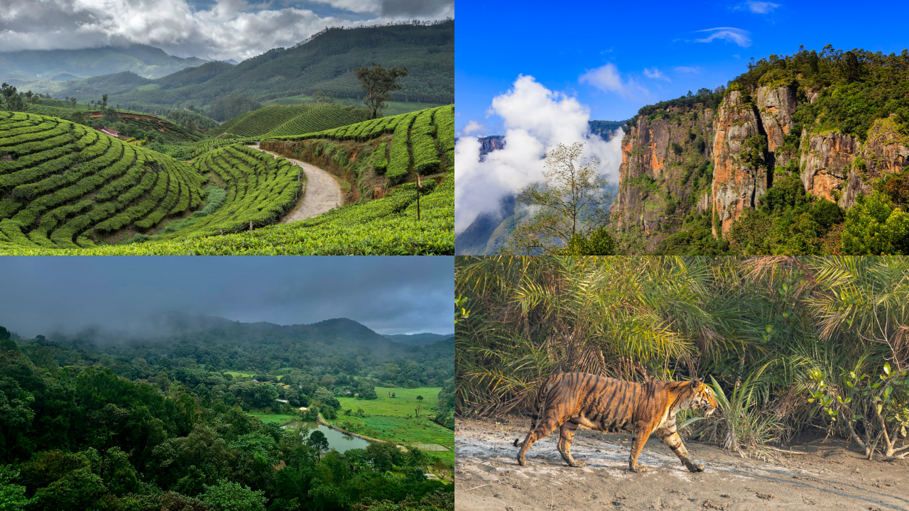 Top 8 Eco-Tourism Destinations In India