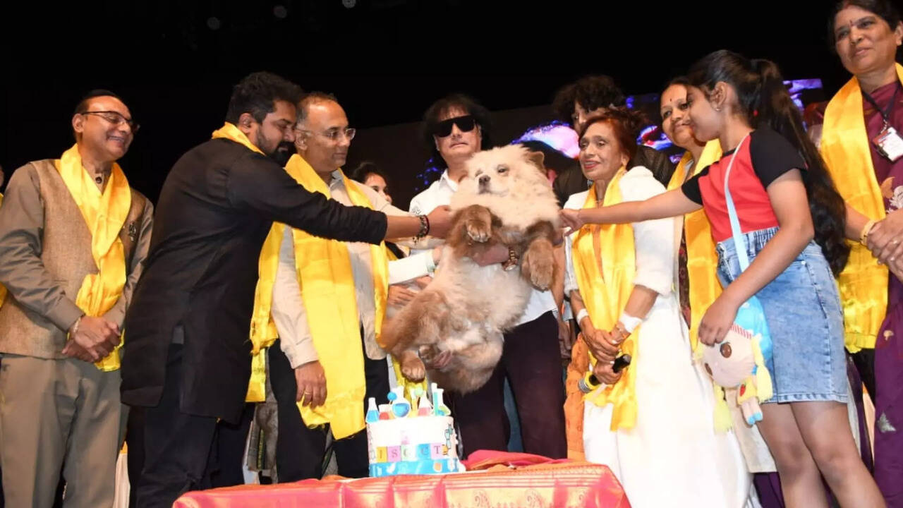 Panda Dog: ಕಾರ್ಯಕ್ರಮದಲ್ಲಿ ಎಲ್ಲರ ಗಮನ ಸೆಳೆದ 30 ಕೋಟಿ ರೂಪಾಯಿ ಮೌಲ್ಯದ ಪಾಂಡಾ ...