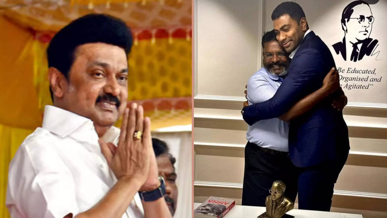 VCK Aadhav Arjuna: வட மாவட்டங்களில் விசிக இல்லாமல் திமுக வெல்ல முடியாது ...